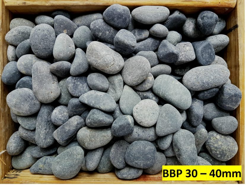 BBP - Black Beetle Pebble - Sindotrade
